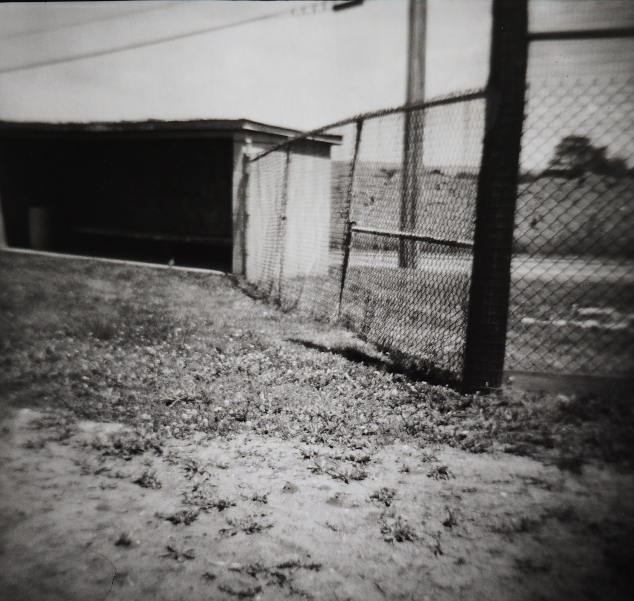 “Revisiting: Photography by Jennifer Mace” - Art in Bloom Gallery