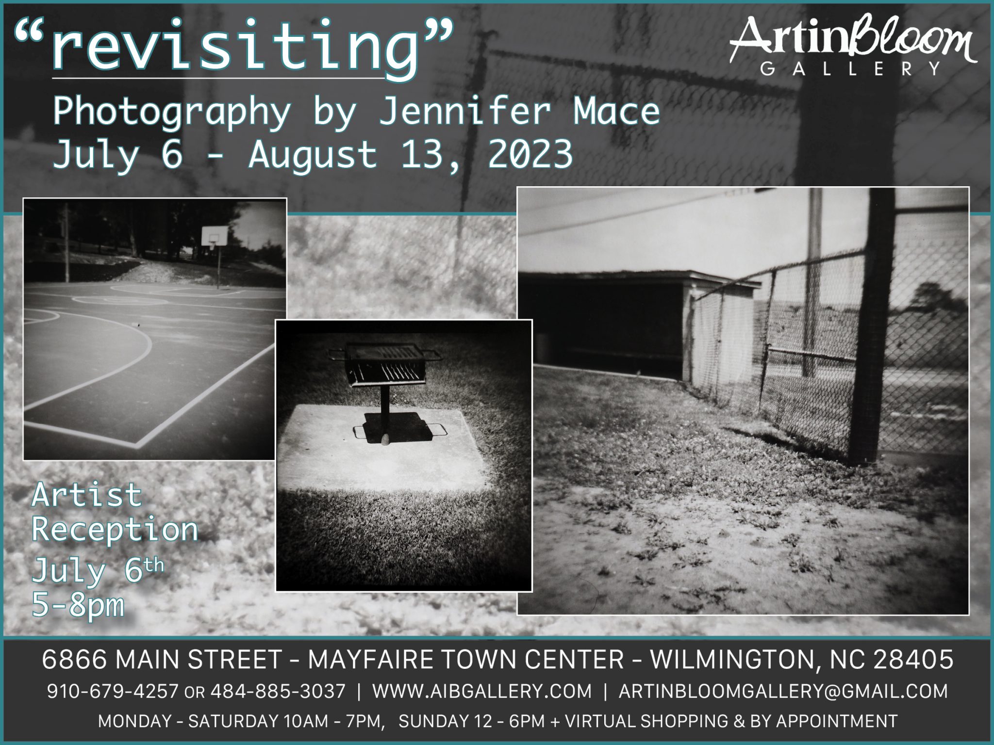 “Revisiting: Photography by Jennifer Mace” Exhibit - Art in Bloom Gallery