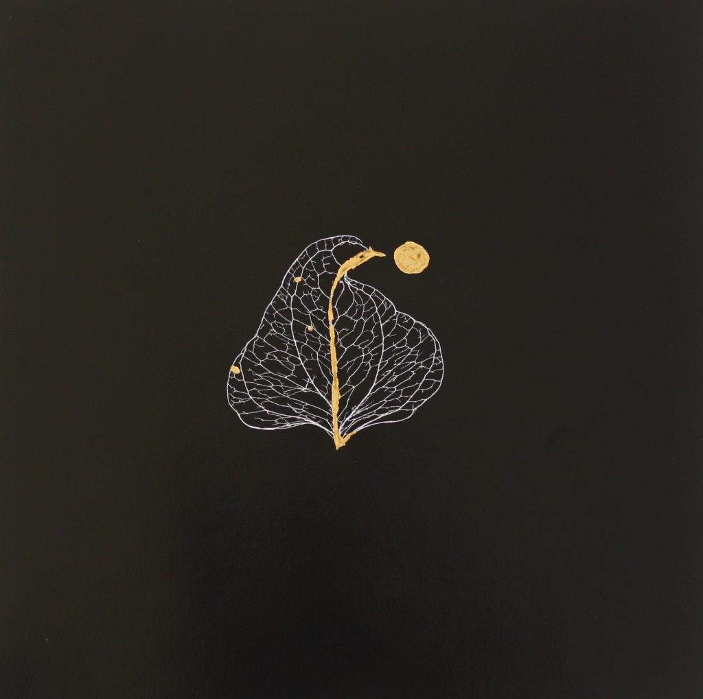 Shop - Art in Bloom Gallery