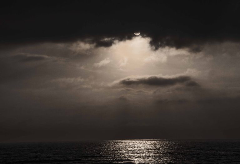 Current Exhibits - Art in Bloom Gallery