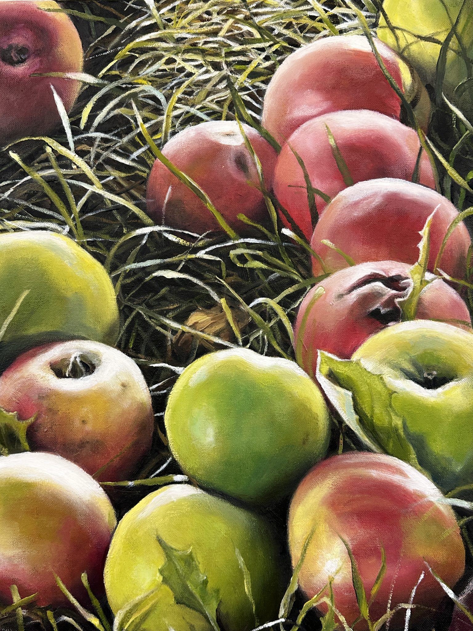 Fallen Apples - Art in Bloom Gallery