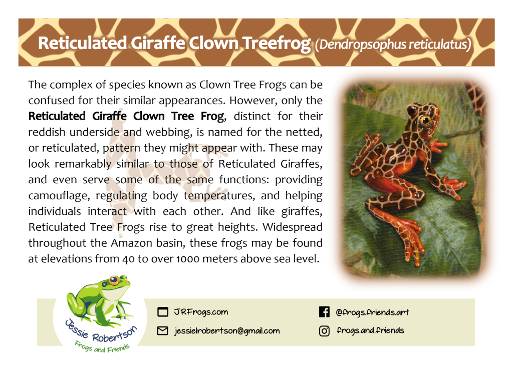 “Reticulated Reach” – Giraffe Tree Frog - Art in Bloom Gallery